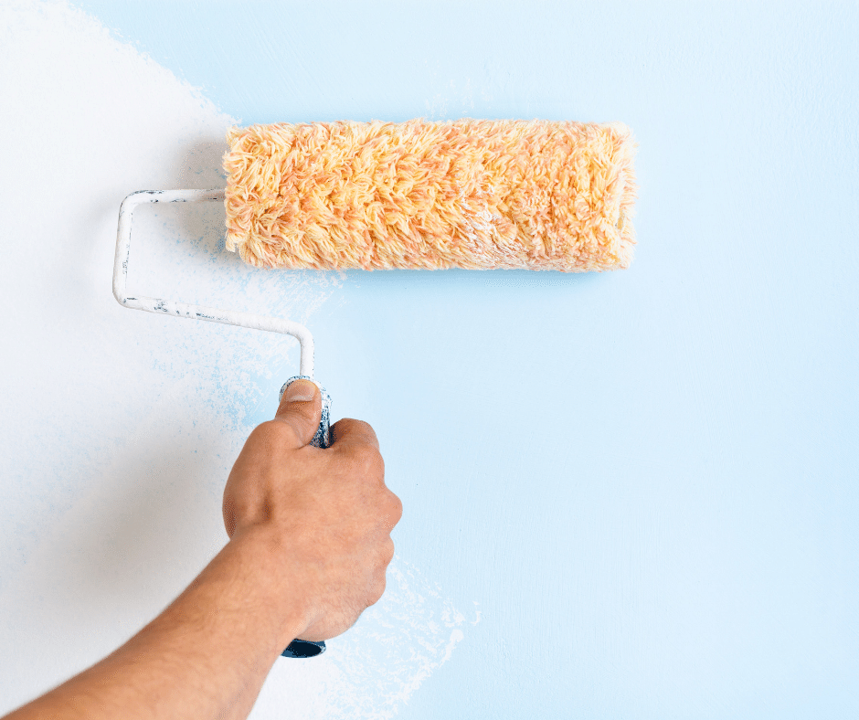 Muren sauzen - Muren vakkundig laten sauzen - Zoofy